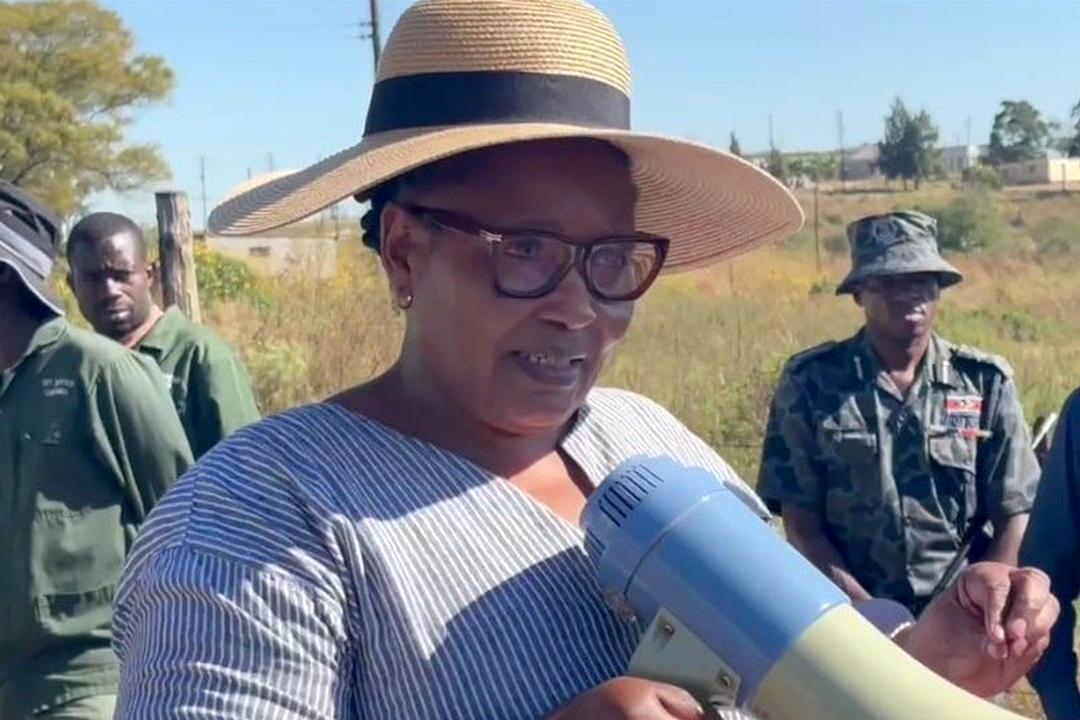 ACTING PM THULI DLADLA SENSITISES NATION ON FOOT-AND-MOUTH - Eswatini