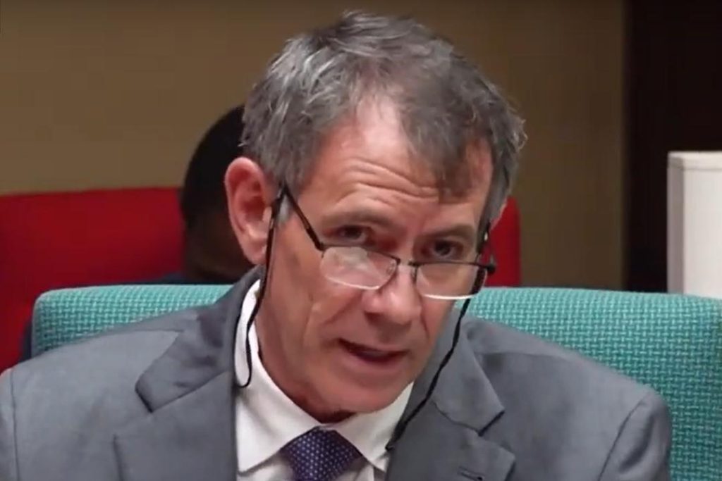 Minister Rijkenberg Updates Mid-Term Budget Review - Eswatini