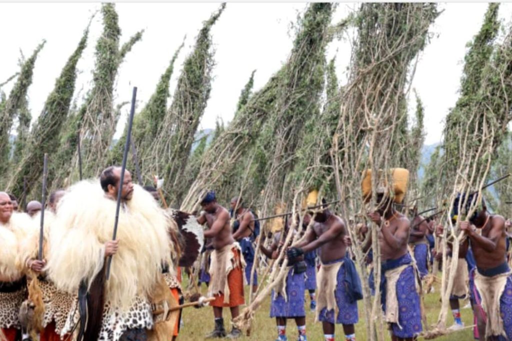 KING INSPECTS HIGH-QUALITY LUSEKWANE DELIVERED BY INGAJA - Eswatini