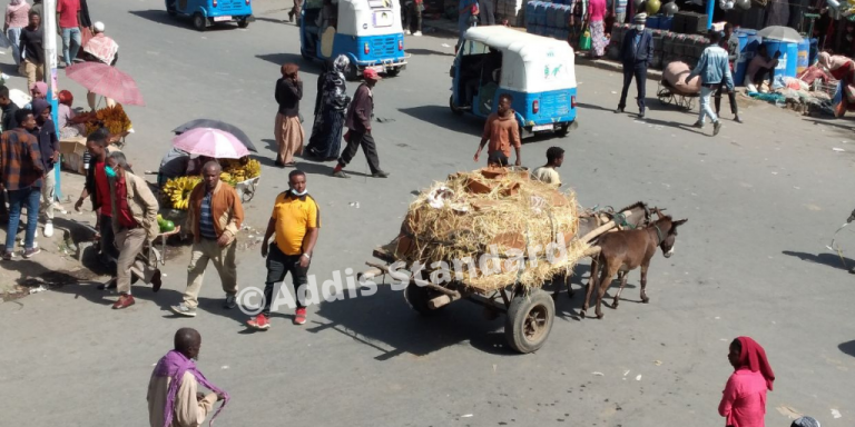 IN DEPTH: SHASHEMENE: A CITY DETERMINED TO STAY RESILIENT FIGHTS FOR ...