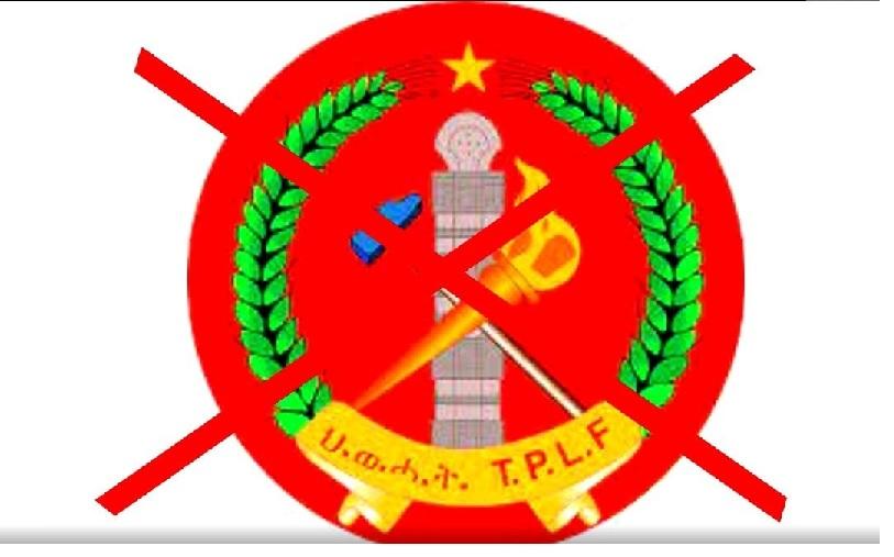 TPLF Inculcates Children, Youth of Tigray with Bloodshed - Ethiopia