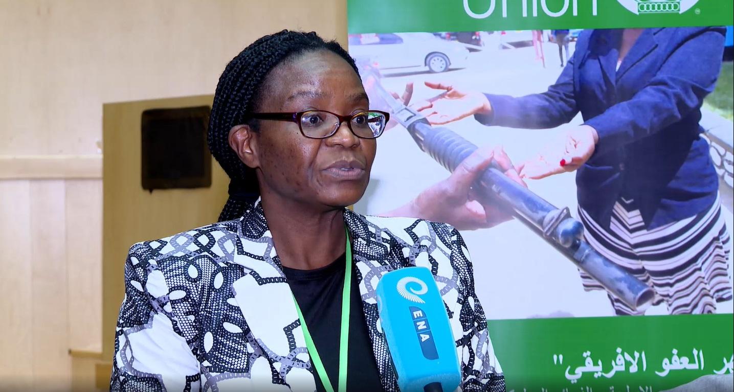 African Countries Renew Political Commitment to Silence the Guns ...