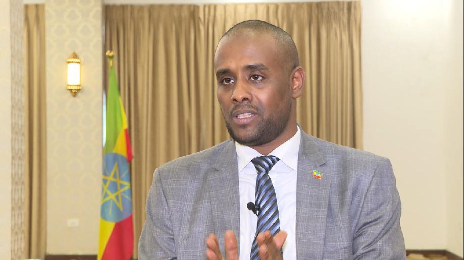 Ethiopia’s Green Legacy Initiative Key to Strengthen Diplomatic ...