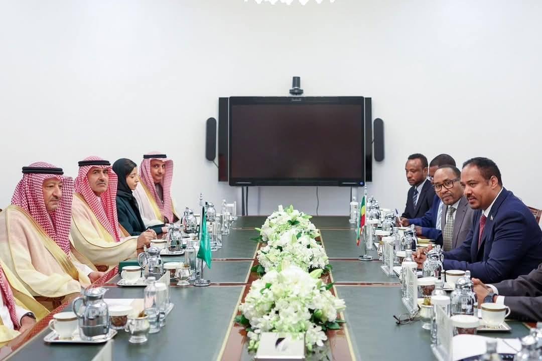 Ethiopia, Saudi Arabia Vow to Elevate Their Cooperation in Various ...