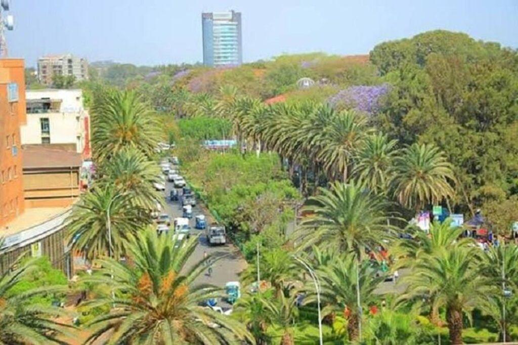 Amnesty International urges action over ‘mass arbitrary detention’ in Amhara, marks four months ...