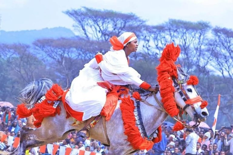 Art & Culture: The 85th annual Agew Equestrian Festival underway in ...