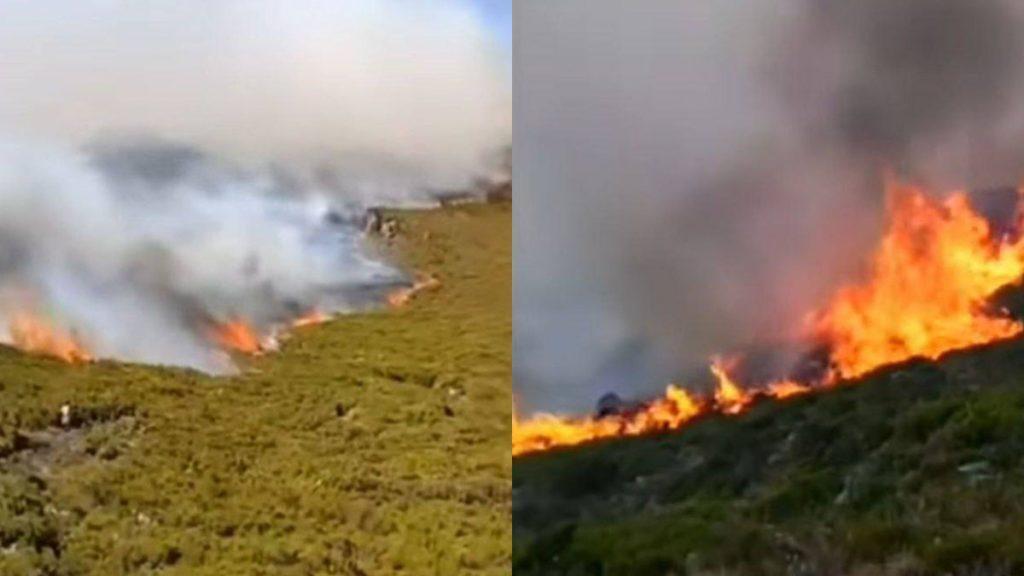 Forest fire rages for over a week on Mount Galama in Oromia’s Arsi zone ...