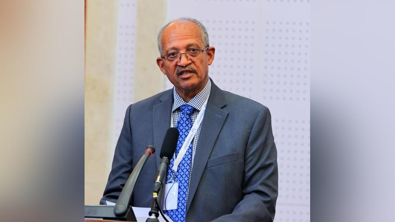 Ethiopia's Adwa Victory, GERD Showcase the Heroism and Success of Its ...