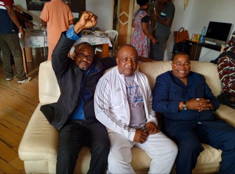 Gabon : Renaud Allogho Akoué et Léandre Nzué libres - Gabon