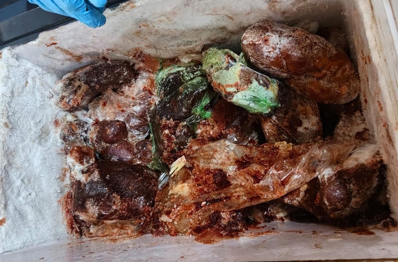 Trois Jours Sans Électricité À Mounana, Danger Sanitaire - Gabon