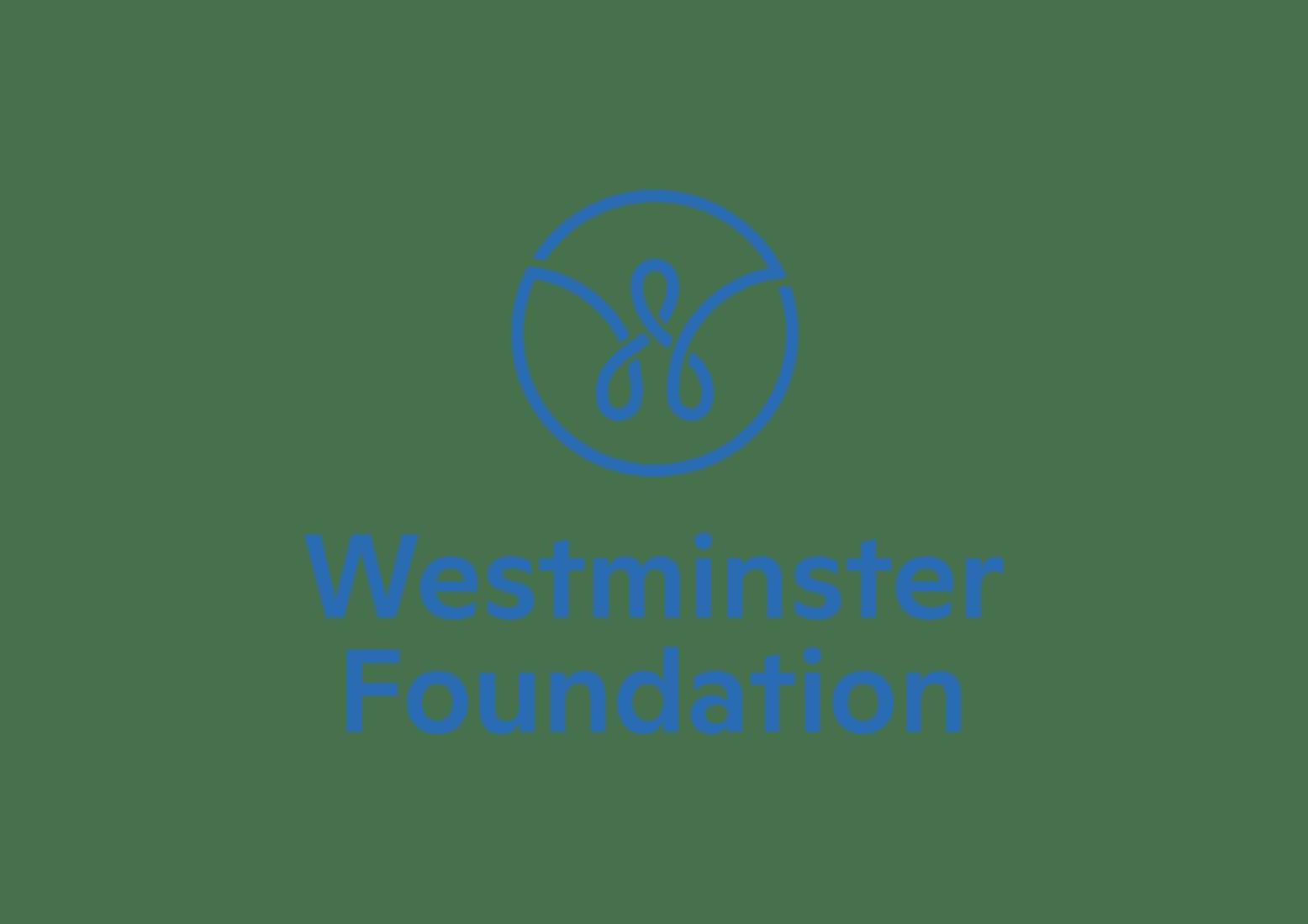 Westminster Foundation moves to tackle capacity gaps at Assembly ...