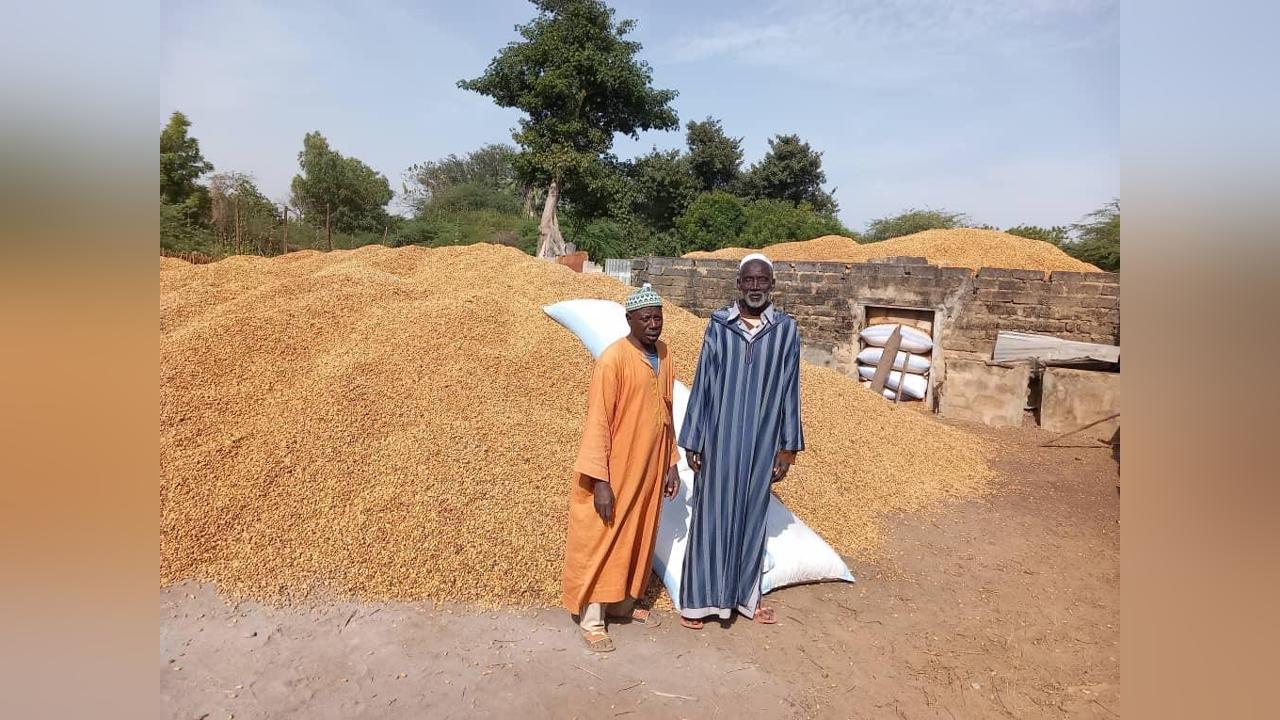Barrow Hailed for Pegging Peanut Price to D38,000.00 - Gambia