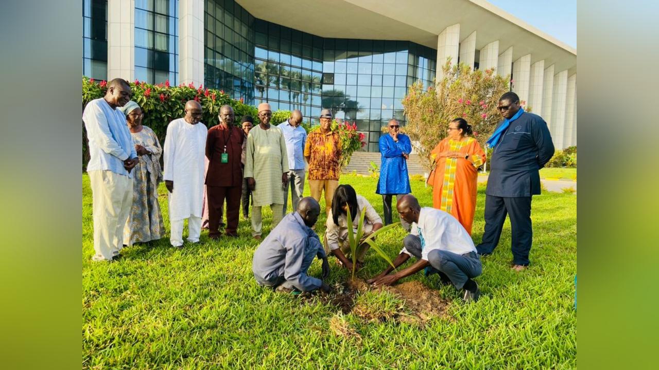 KCLO Holds Mother of the Nation Tree Planting Exercise - Gambia