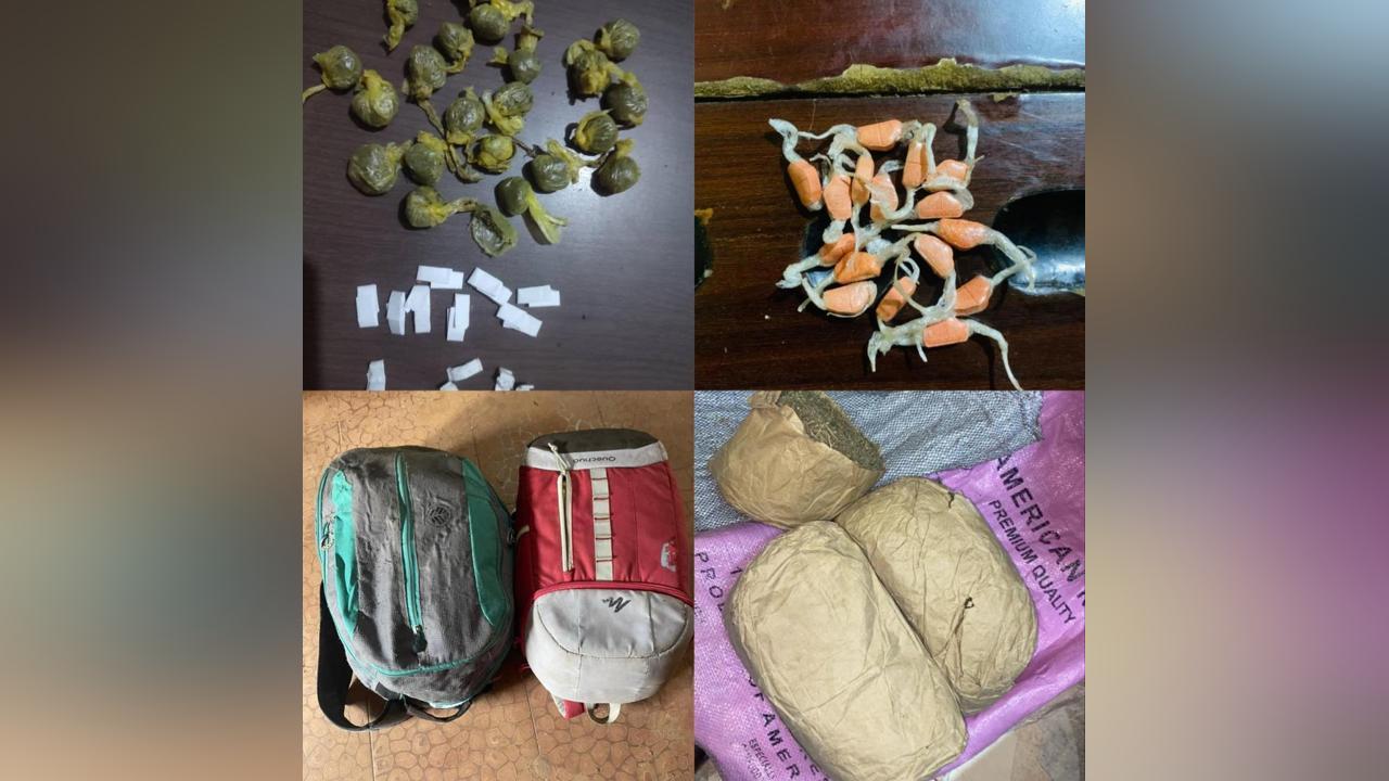 DLEAG Arrests 40 Individuals over Alleged Drug Possession - Gambia