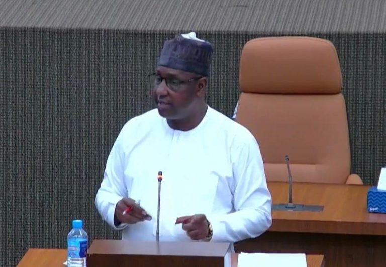 Agriculture Minister Accuses UDP of Avoiding By-Election - Gambia