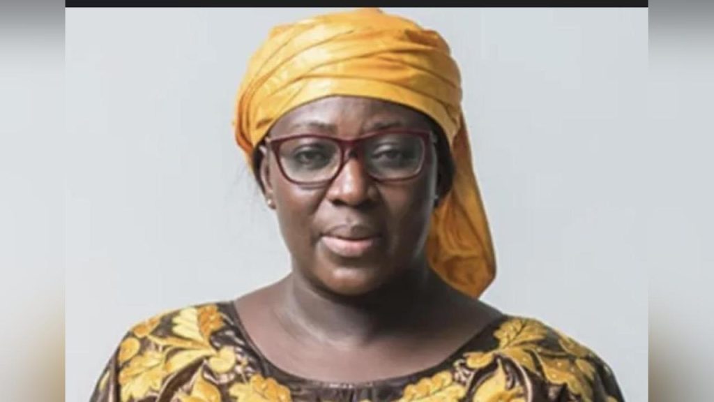 Jawara Accuses Gibba of Deceiving Voters in Foni - Gambia