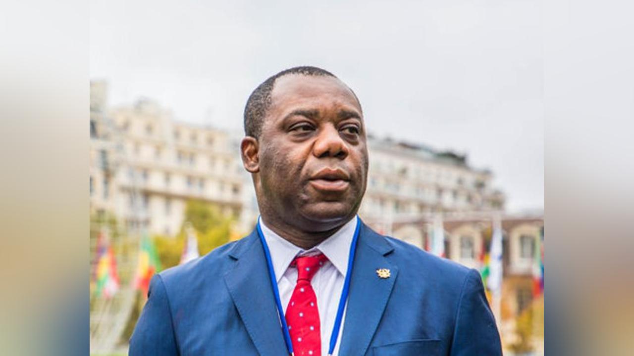 Frances Essiam Condemns Napo’s Vice Presidential Ambition - Ghana