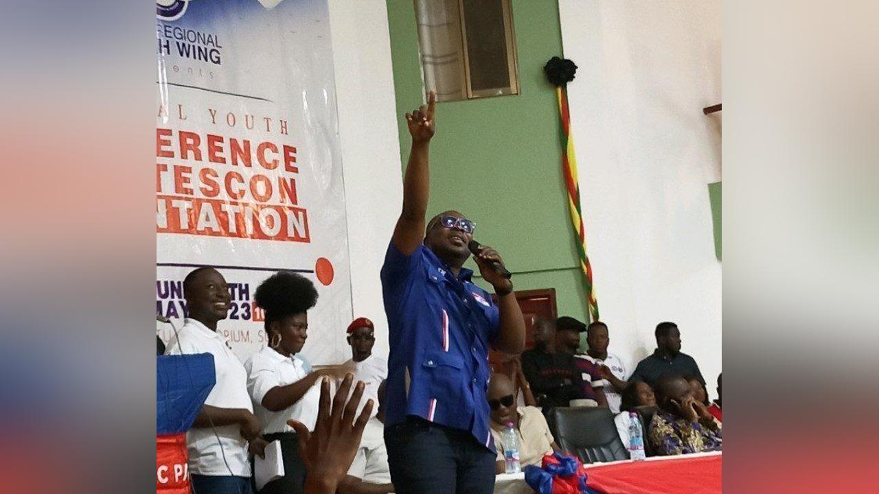 Youth Organizer urges unity in NPP as important element for Election ...