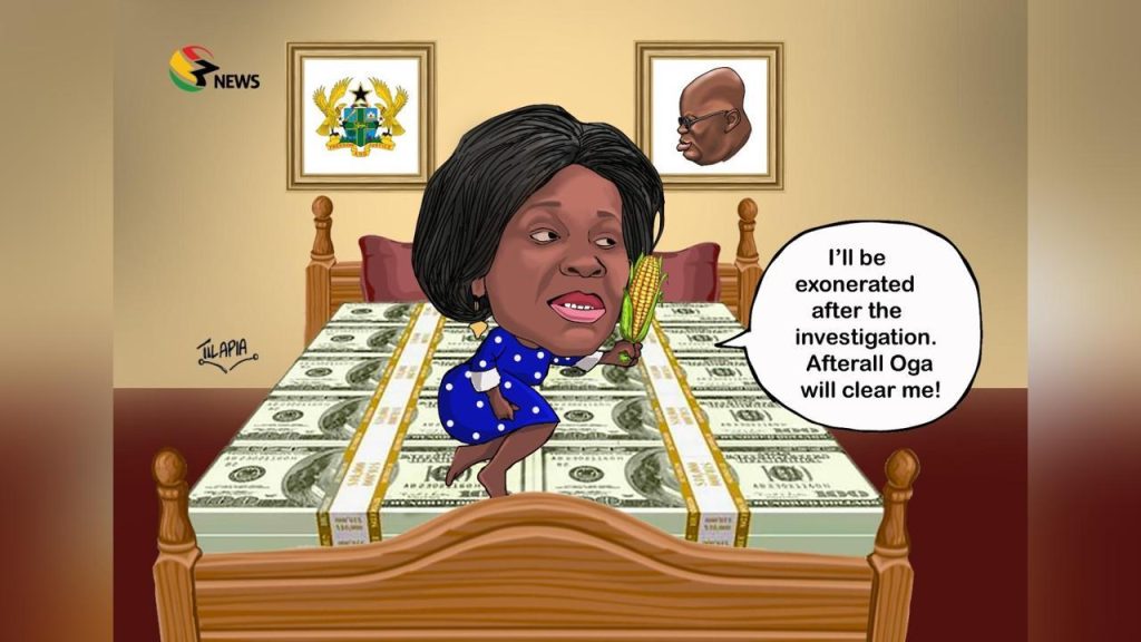 Cecilia Dapaah’s money is ill-gotten wealth - Ghana