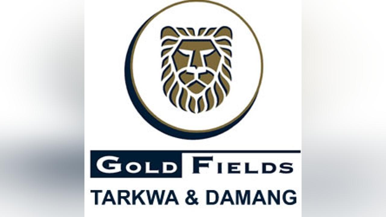 Gold Fields spends US$896 million on goods and services from suppliers ...