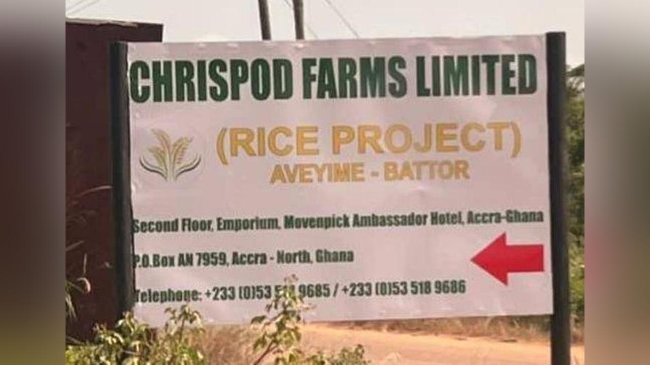 New Aveyime rice farm investor targets cultivating 10,000 hectares of ...