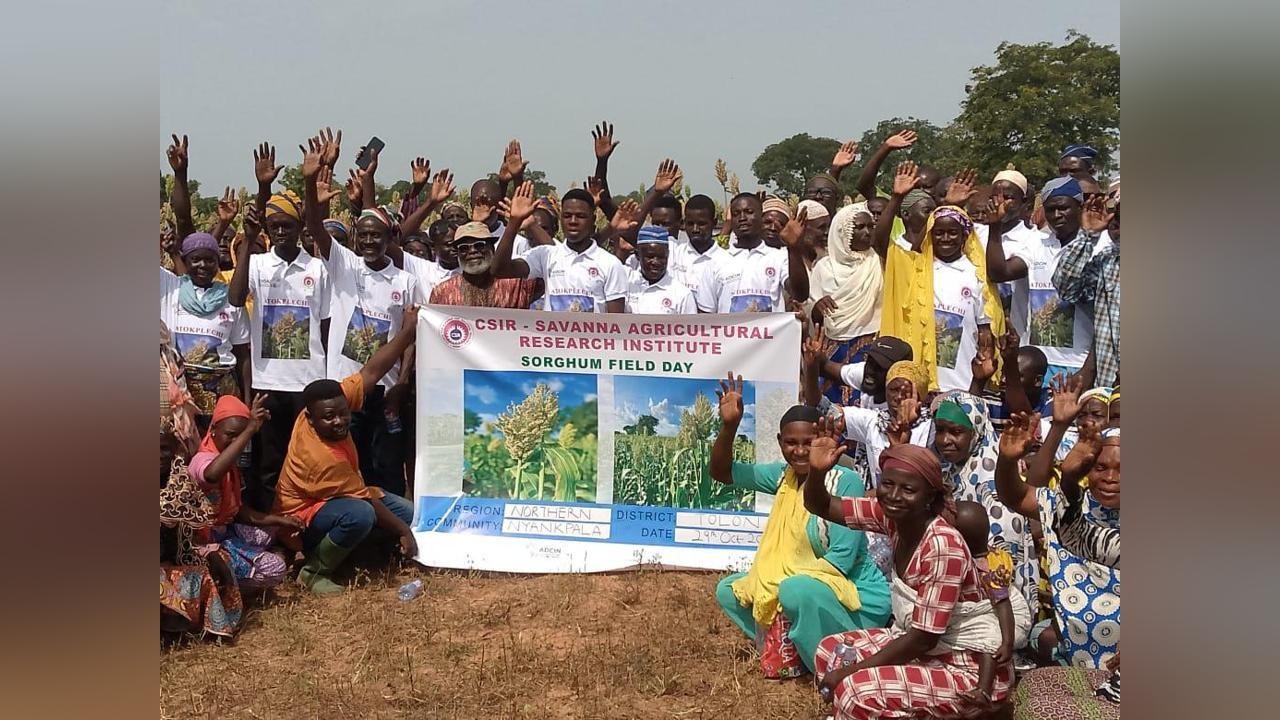 CSIR-SARI Introduces Atokple Chi Sorghum Variety to Farmers - Ghana