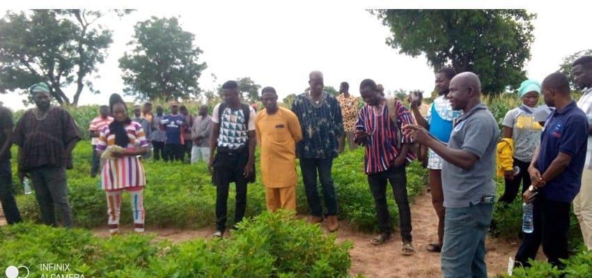 CSIR-SARI Introduces Farmers to Groundnut Production Technologies - Ghana