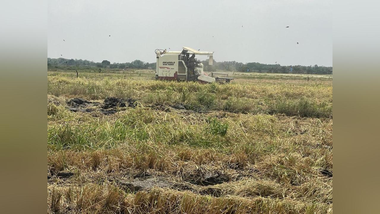 JICA Commits to Supporting Ghana to Increase Domestic Rice Production ...