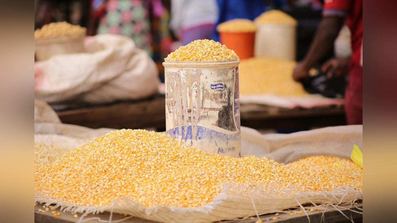 Chiefs of Sissala Set New Maize Price to Protect Farmers - Ghana