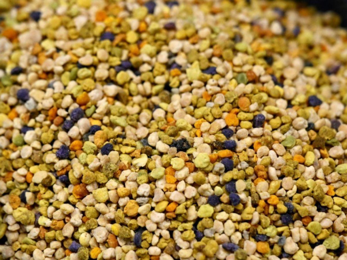 Le pollen, un outil pour mieux comprendre le climat localement - Guinée ...