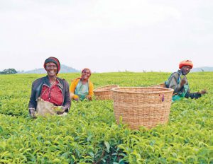 Economic Challenges Facing Kenya - kenya