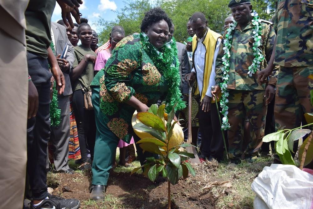 KFS, Homa Bay Woman Rep plant trees to increase forest cover - kenya