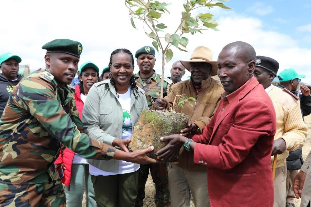 Plant tree seedlings, nature them to maturity – CS Tuya - kenya