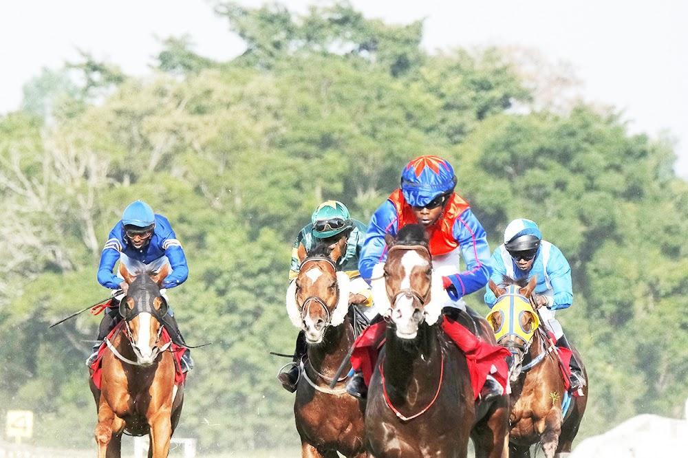 Return of the crowds signifies revival of horse racing in Kenya - kenya