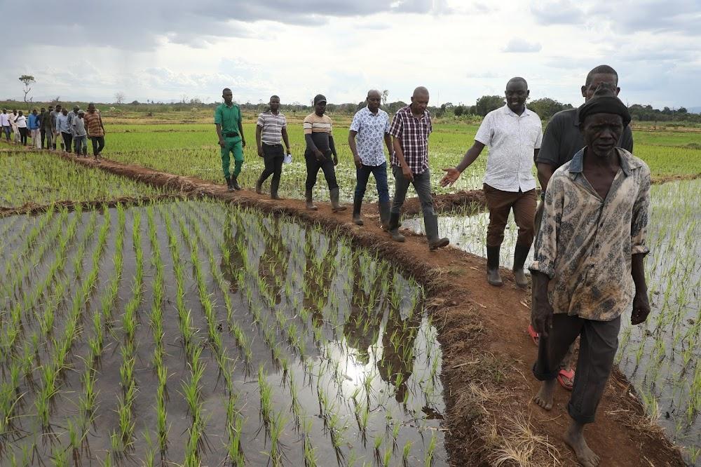 Farmer on Fire launches ASAL climate diversity recovery initiative - kenya