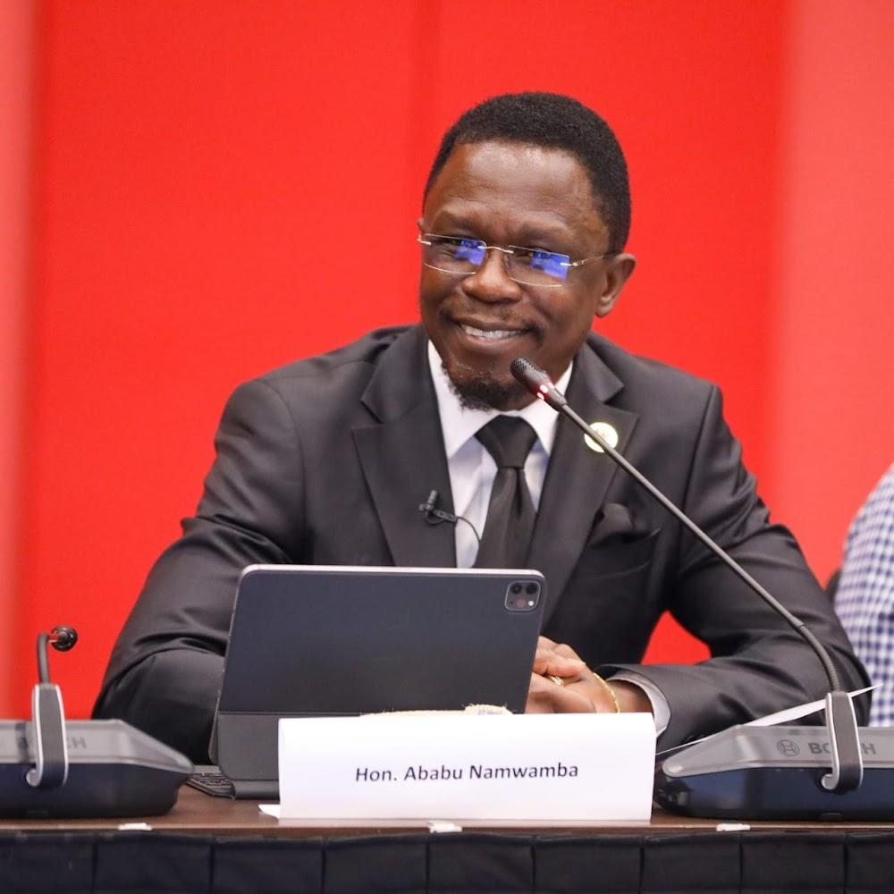 CS: Ababu: African Artists can Succeed if Recognised, Given ...