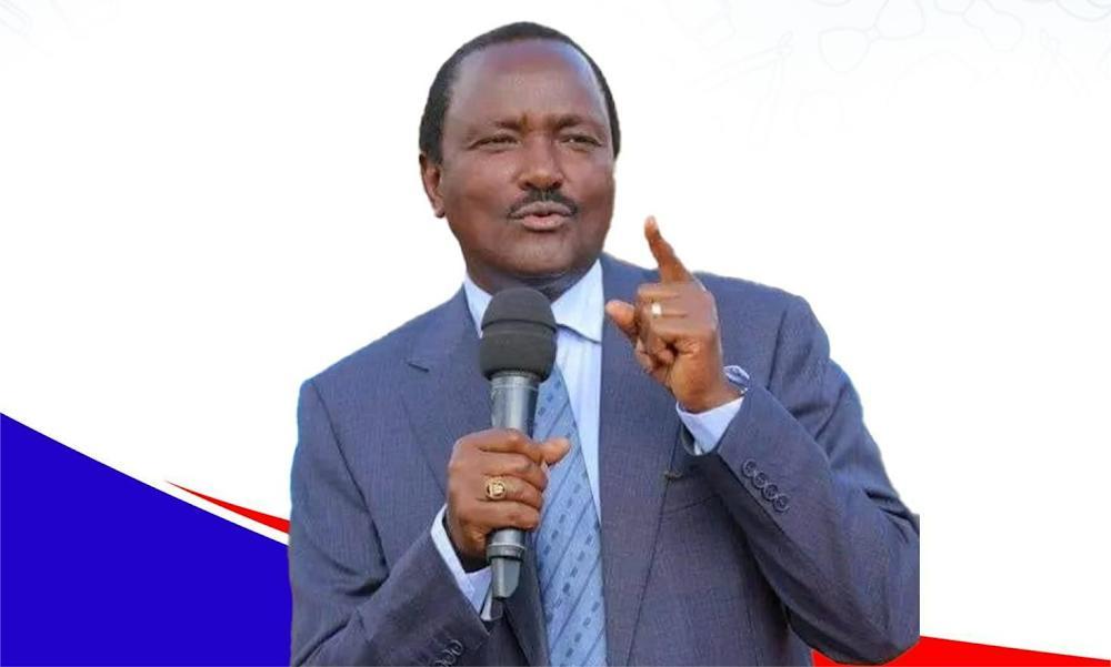 Kalonzo condemns arrest of anti-Finance Bill protesters in Nairobi - kenya