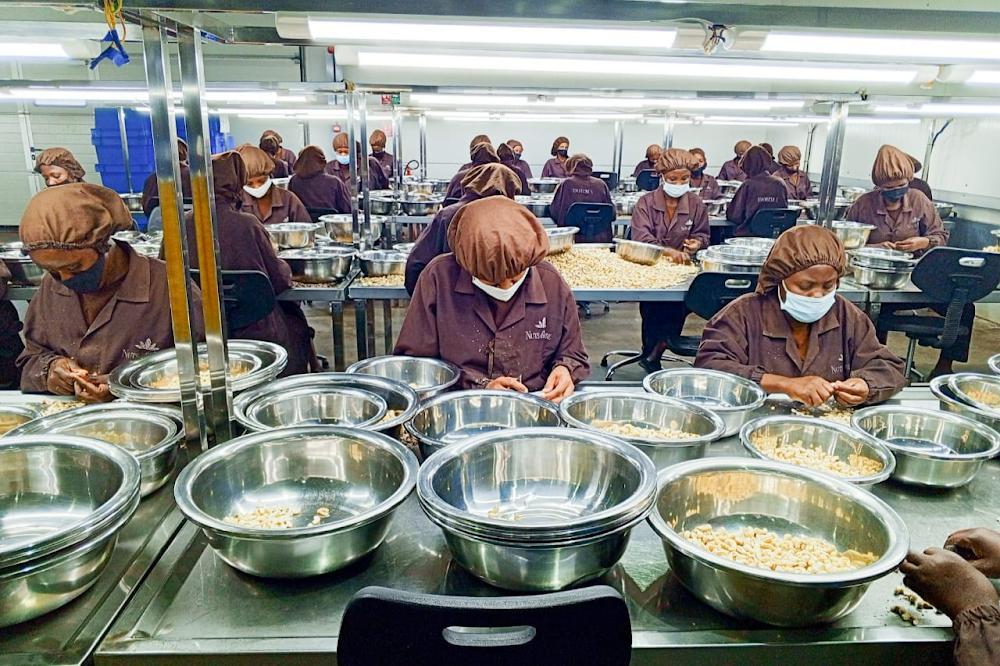 State fronts four export processing zones to investors - kenya