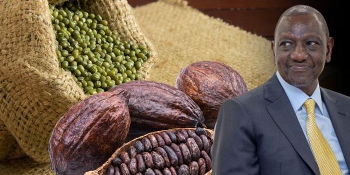 Govt Reclassifies Cocoa, Ndengu, and Mrenda to Boost Exports and ...