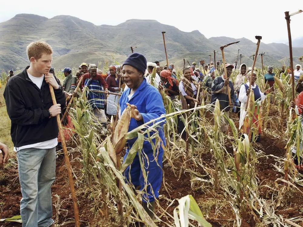 Photos show Prince Harry's long-standing relationship with Lesotho in ...