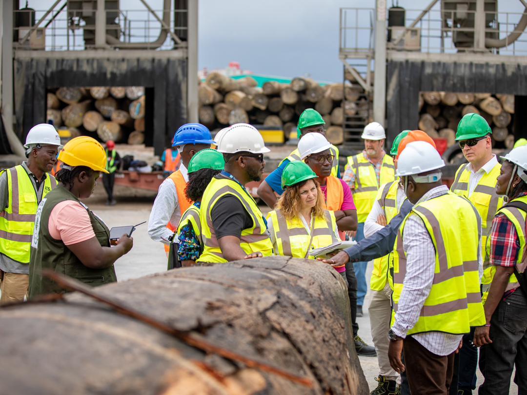 Government, diplomatic community observe log export operations at APM ...