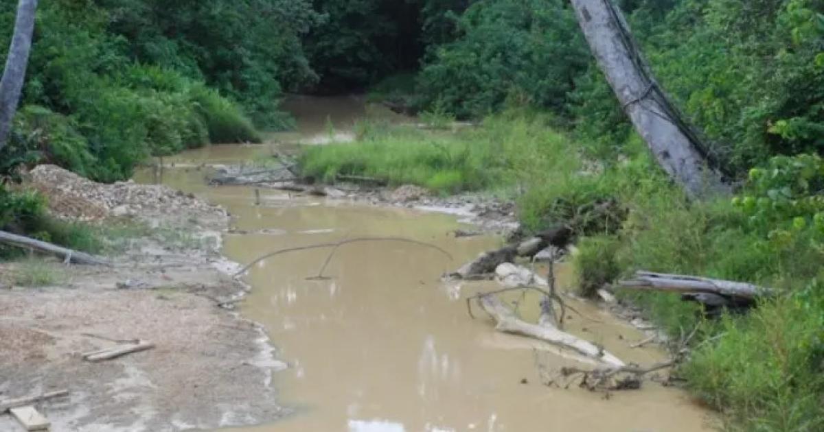 In Liberia, A Gold Boom Leads To Unregulated Mining And Ailing Rivers ...