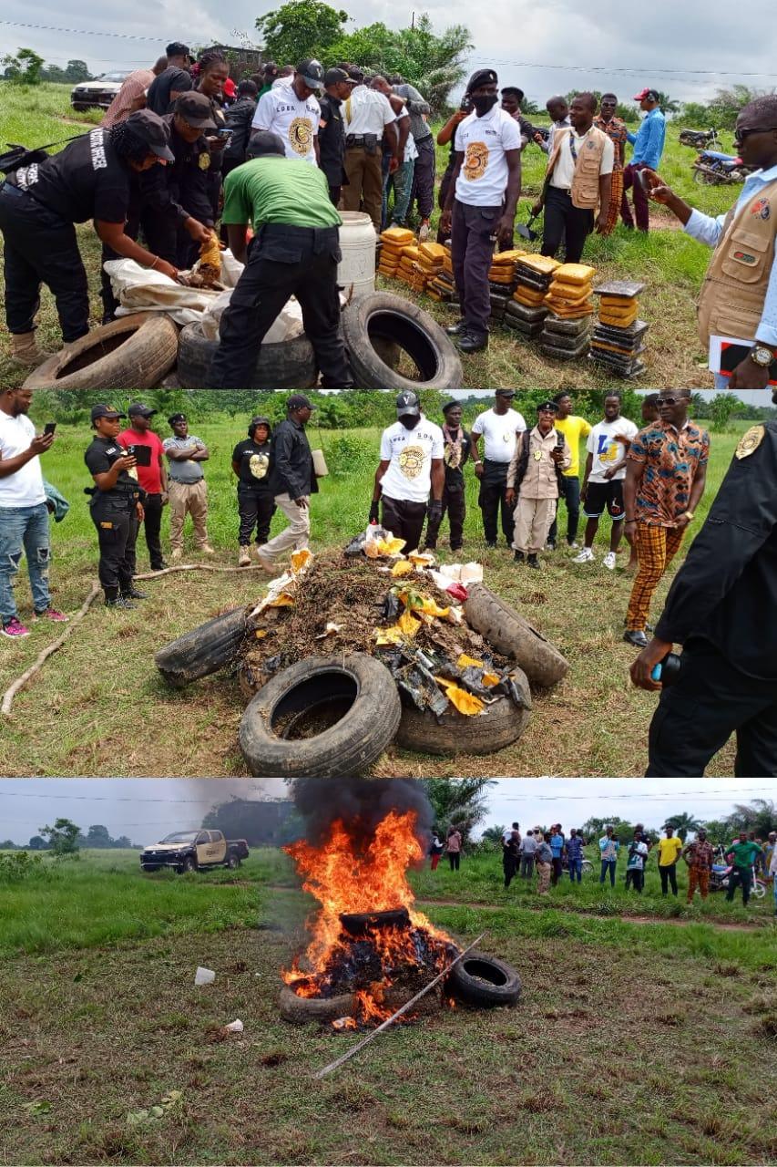 LDEA burns drugs worth over $2m - Liberia