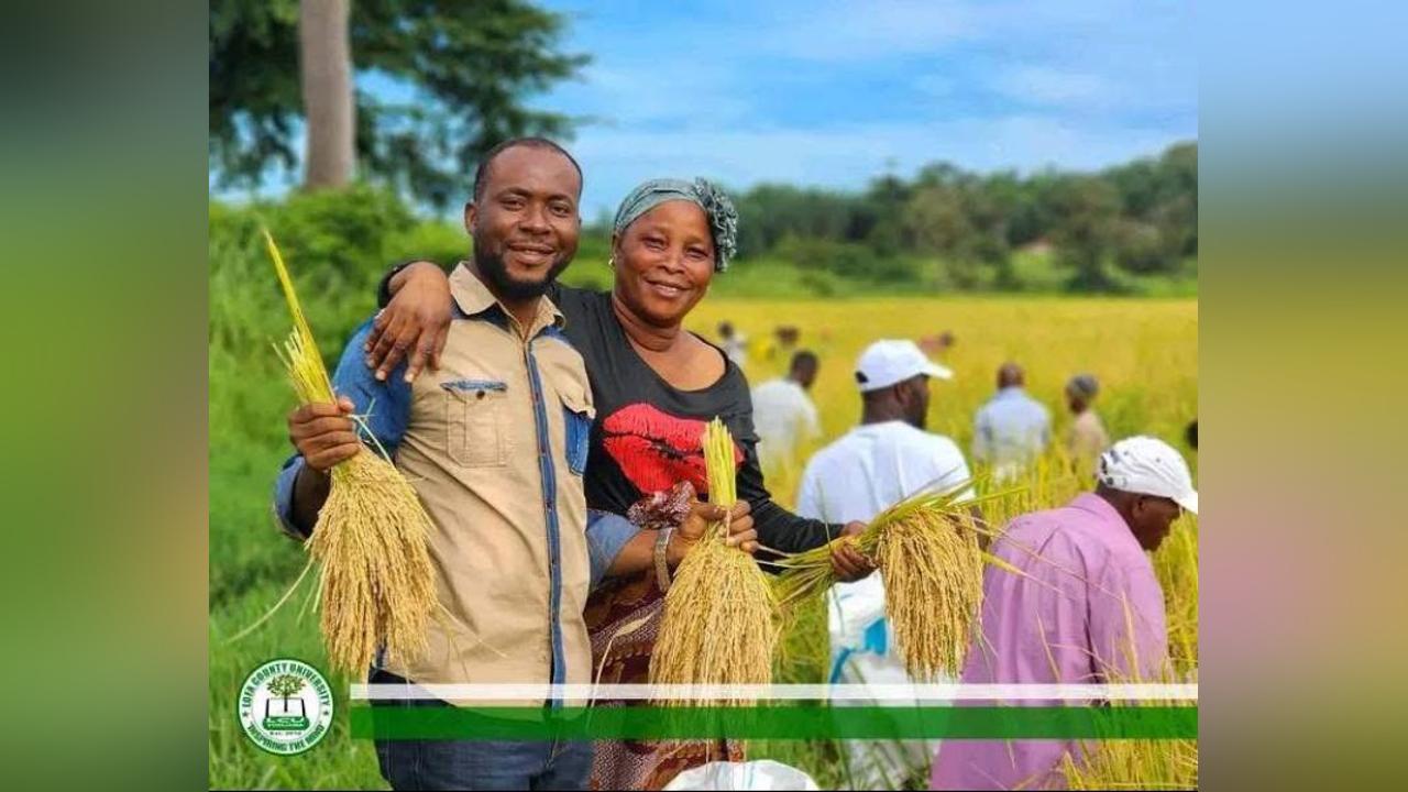 Lofa County University Harvests 3.5 Hectares of Rice - Liberia