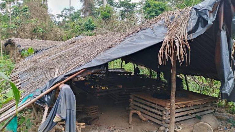 Burkinabe Migrants Killed Amid Rising Conflict in Nimba - Liberia
