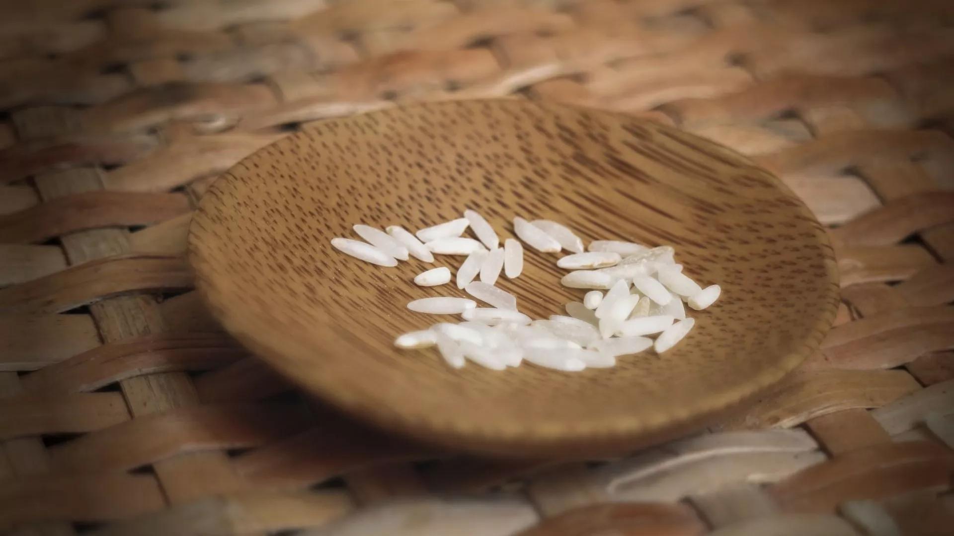 Voici les conditions pour augmenter la production du riz en Afrique de ...