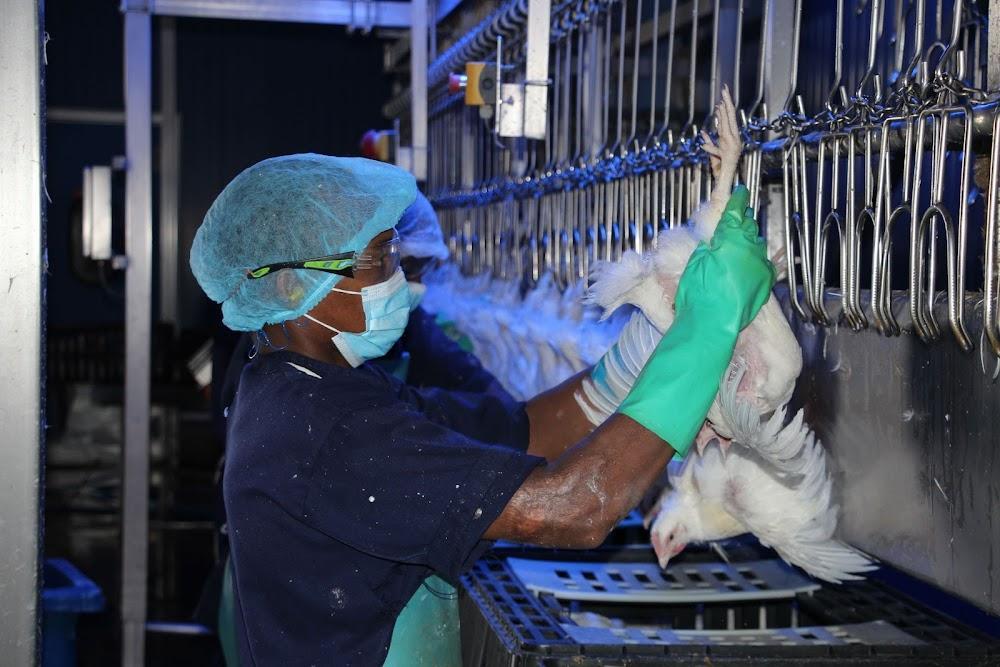 Leverage Africa's food processing sector for growth - Report - Mauritius