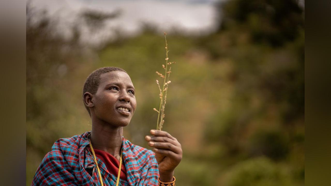 New UN Course for Policymakers to Inspire Solutions from Africa for ...