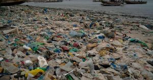 Renewed Calls to End Plastic Pollution on World Environment Day - Mauritius