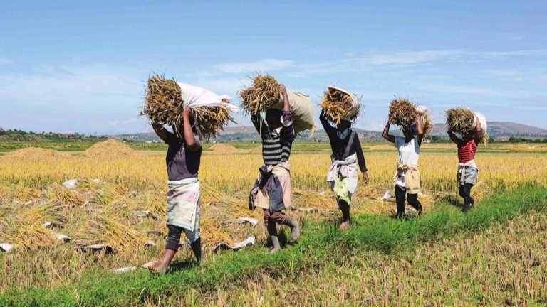 Climate Change Impact, a Looming National Crisis - Mauritius